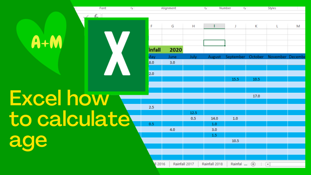Excel How To Calculate Age Basic Lowdown No Waffle
